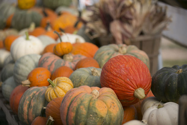 ‘Theme in Yellow’ a poem by Carl Sandburg (for Halloween) | workthoughts